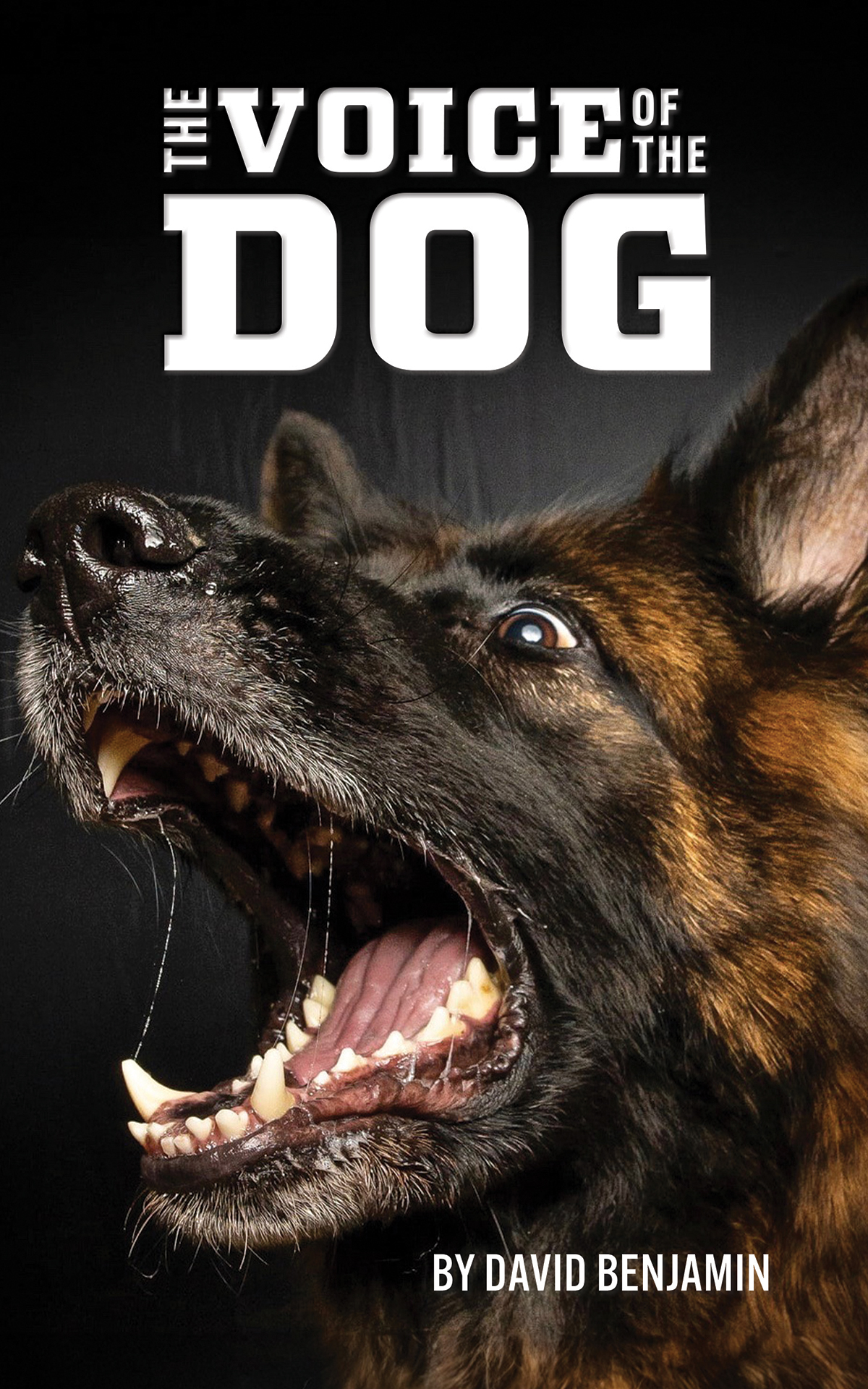 The Voice of the Dog | Novel by David Benjamin